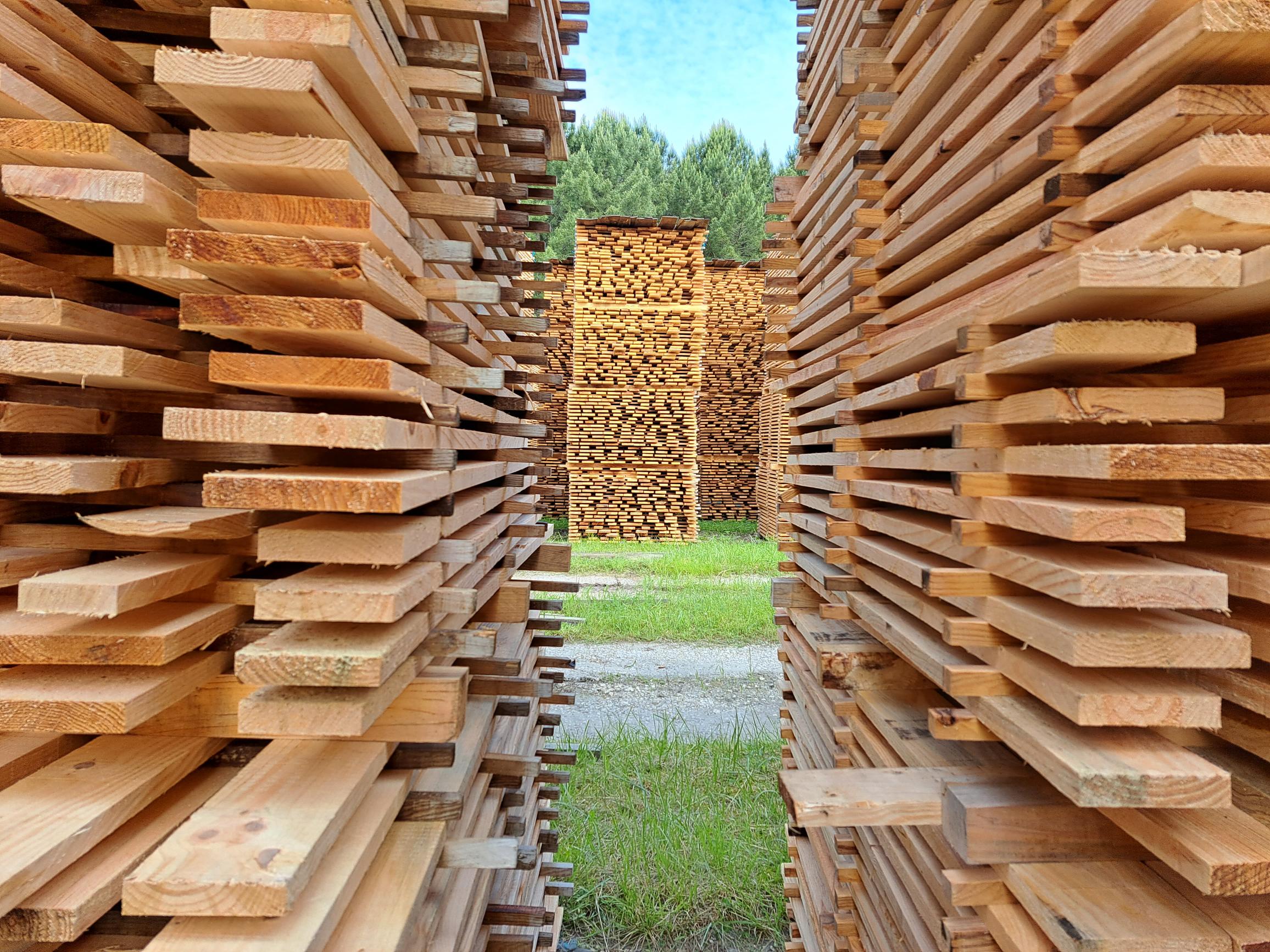 Ossature bois dans le Médoc - Scierie Balhadère et fils